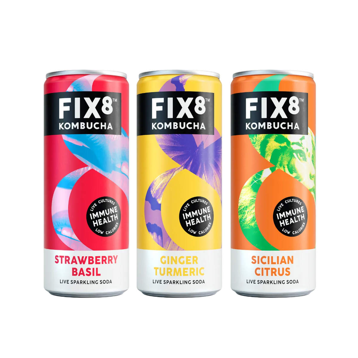 Kombucha Mixed Case – Chill.com