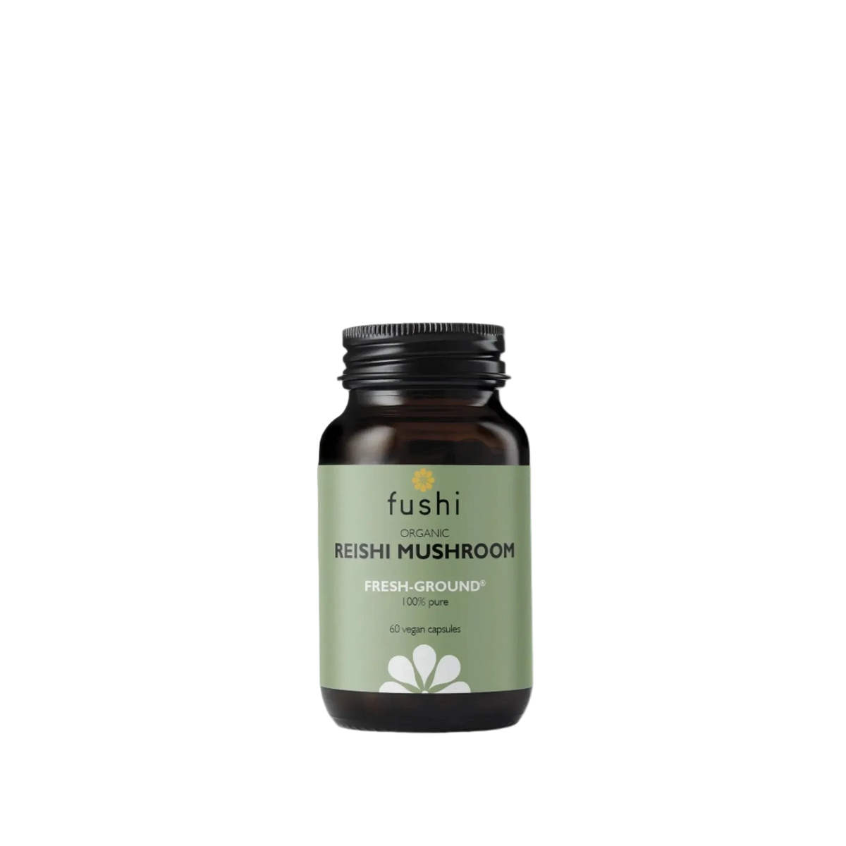 Organic Reishi Mushroom – Chill.com